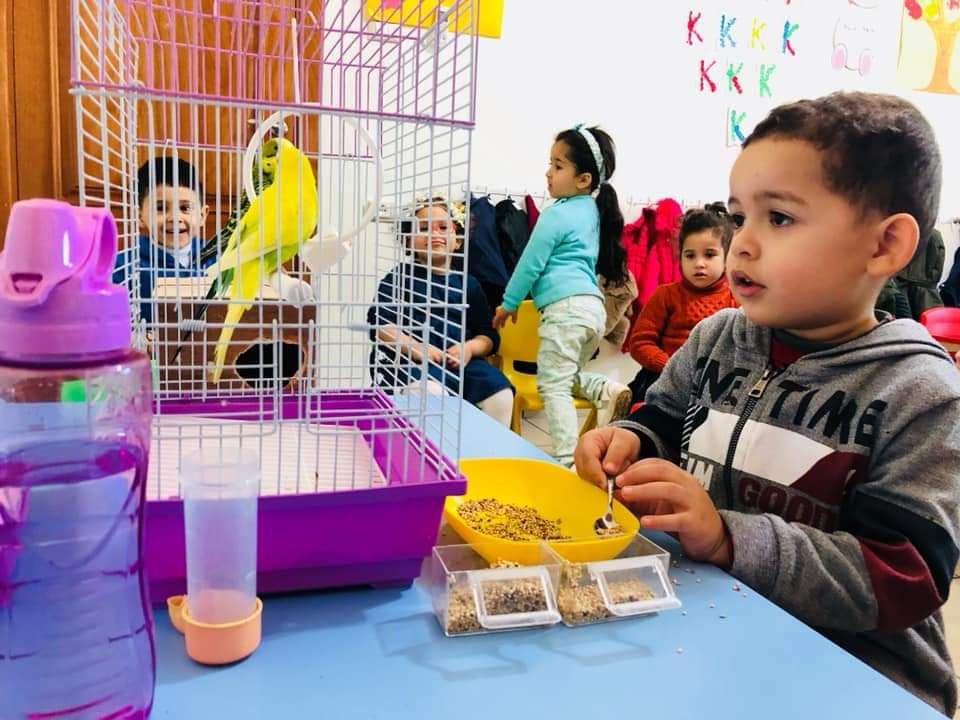 Activity-based learning – EDUCARE